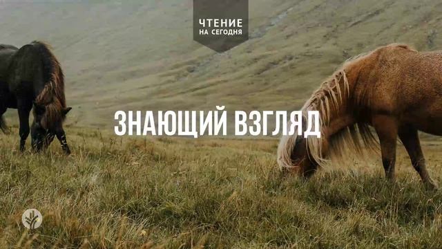 ЗНАЮЩИЙ ВЗГЛЯД 	| Ежедневное христианское чтение |	12	  января 2026