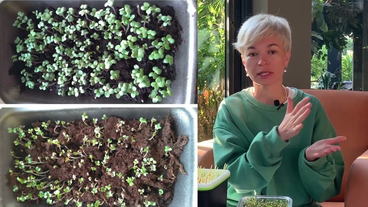 Урок 8. Ошибки при выращивании