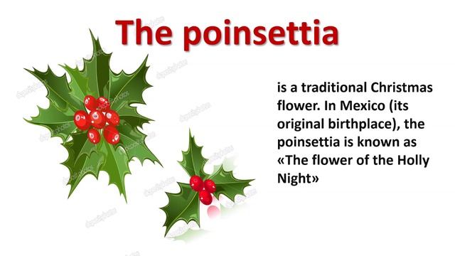 Дорофеева Маша из 8кл.Е рассказывает интересные факты Рождестве