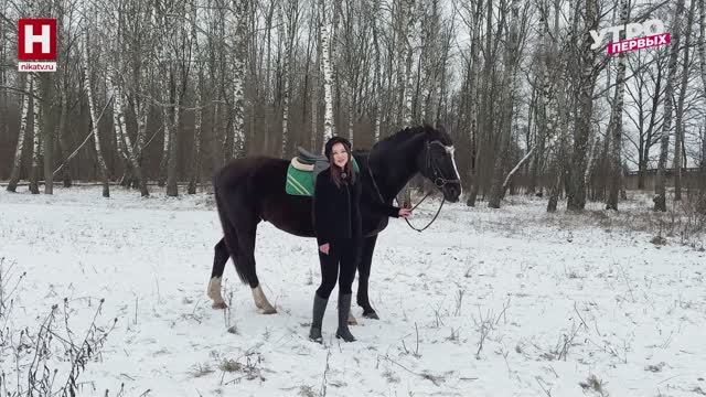Год лошади | ЗООМАНИЯ