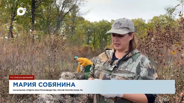 Итоги года / Октябрь 2025 г.