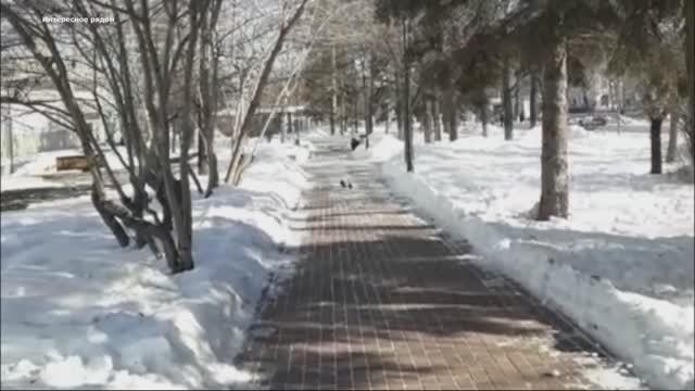 Почистили от снега дорожки