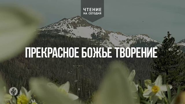 ПРЕКРАСНОЕ БОЖЬЕ ТВОРЕНИЕ 	| Ежедневное христианское чтение |	4	  января 2026