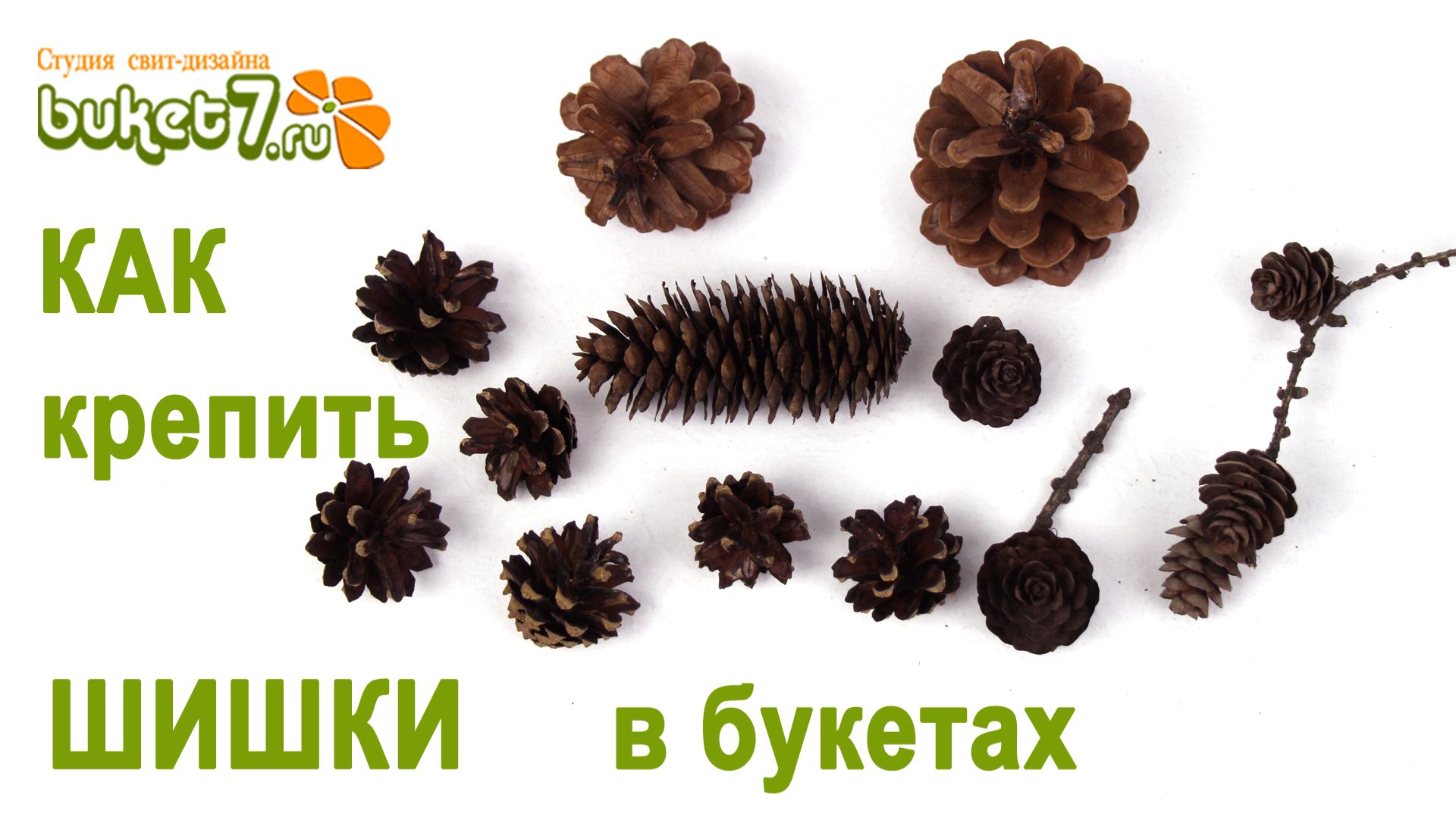 Как крепить шишки для букета ☆ Новогодние поделки своими руками