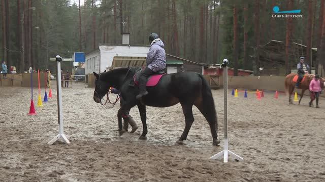 Как иппотерапия помогает людям восстановить душевное равновесие