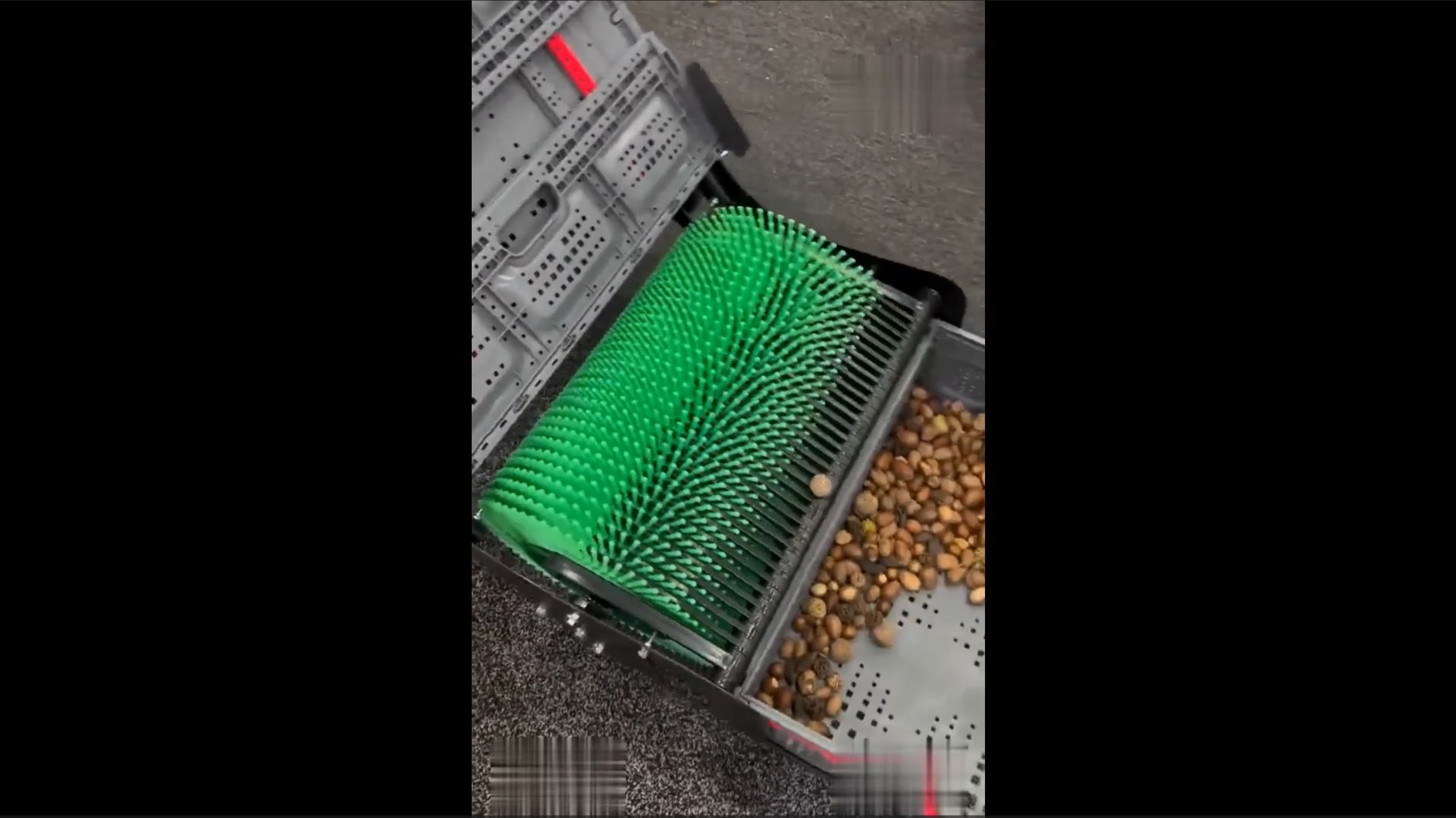 Самодельное устройство сбора орехов