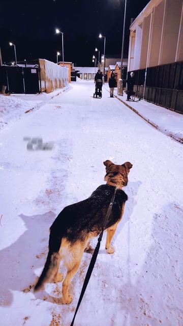 "О чём плачет Коржик?💧" ❥ Приют в Малинках #приютдляживотных