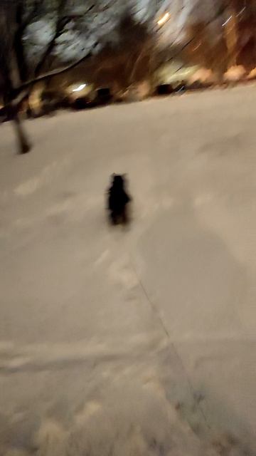 Любовь Грэйс или Грэйс вездеход