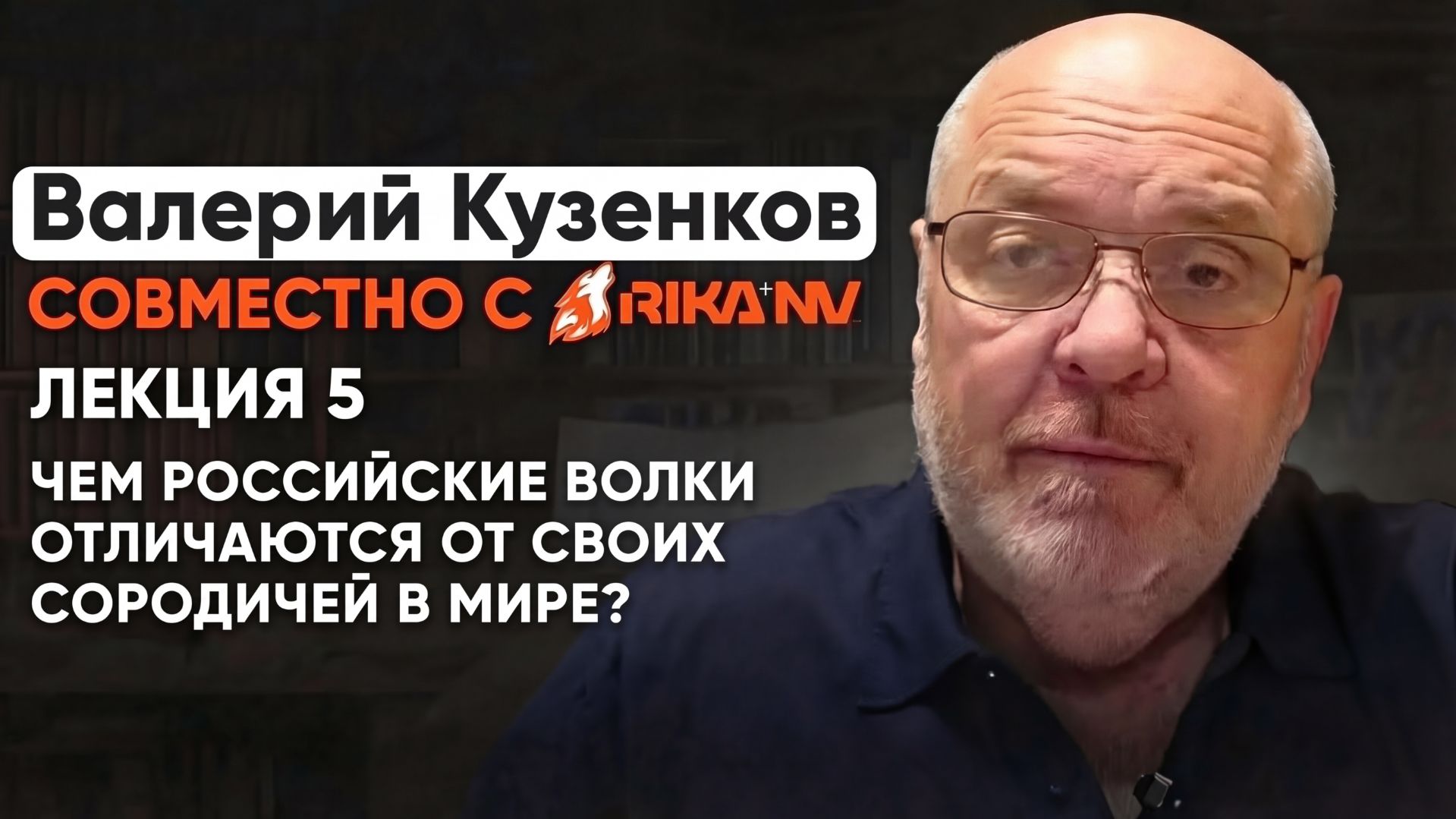 RikaNV и Валерий Кузенков. Чем российские волки отличаются от своих сородичей в мире