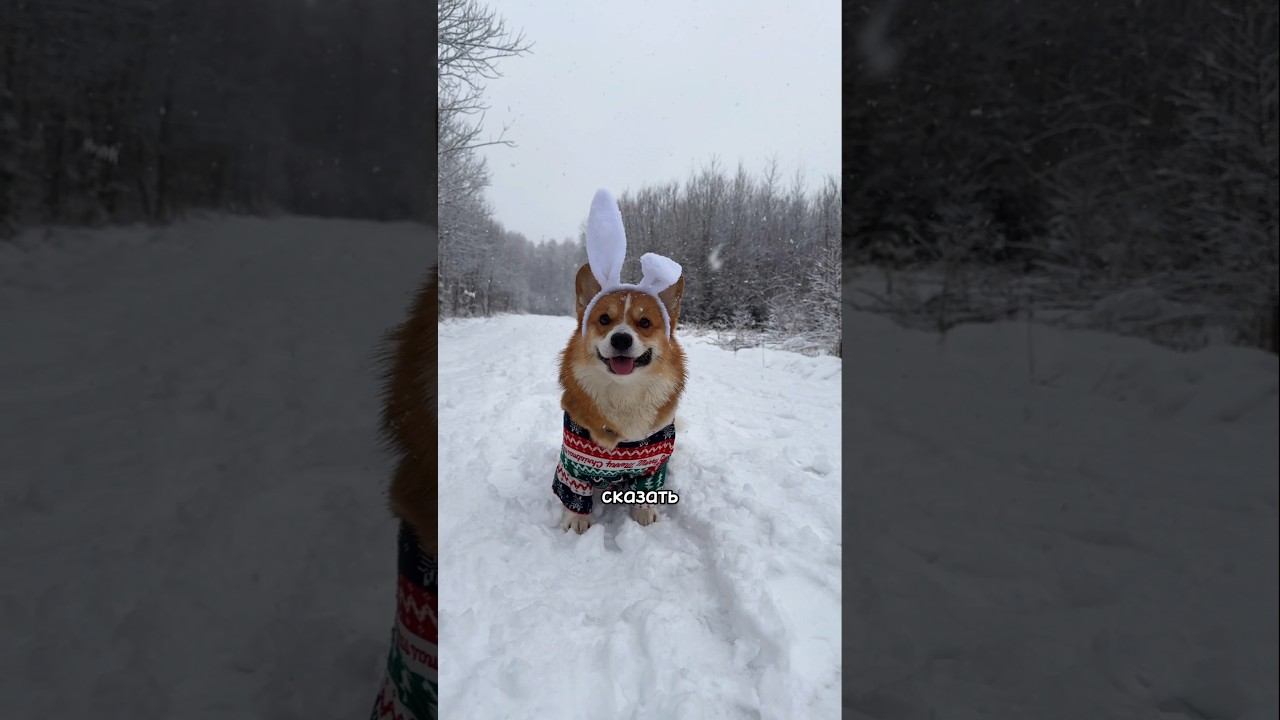 Время волшебства