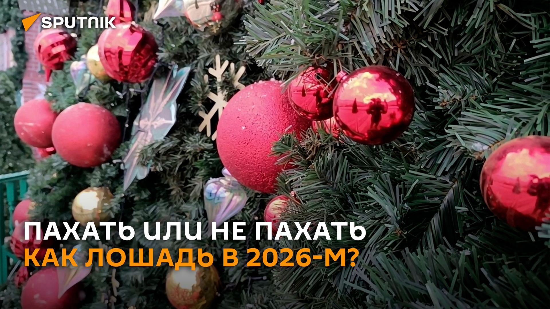 "Не хочу пахать, как лошадка": чего ждут белорусы от Красной Огненной Лошади