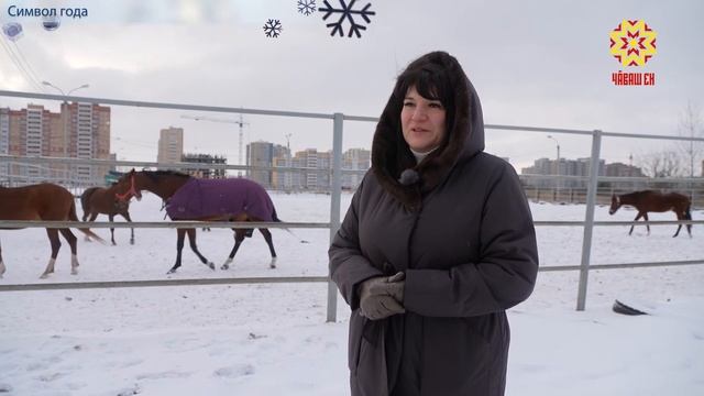 Год Красной Огненной Лошади. Что приготовил символ года в 2026?