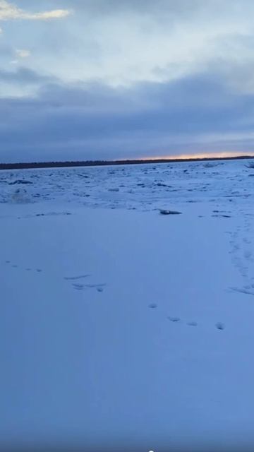 Видео от покупателя из ХМАО, Берёзово.