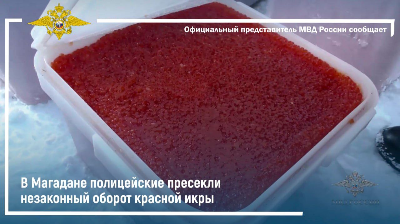 В Магадане полицейские пресекли незаконный оборот красной икры