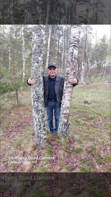 Москвички в лесу Телеши поздней осенью.