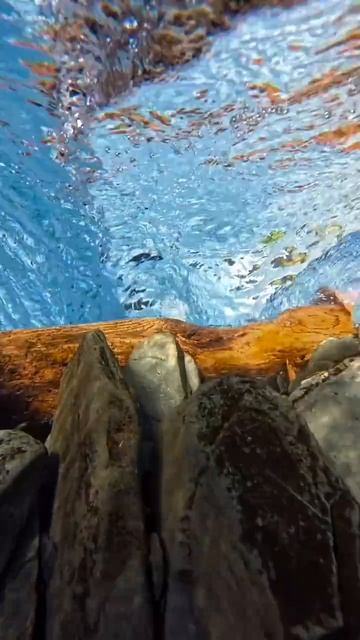 Подводная красота