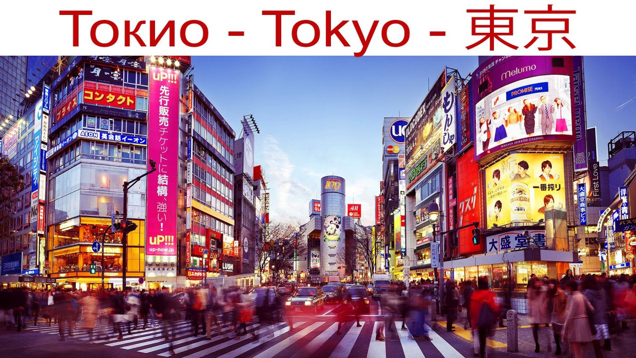 Токио: район Сибуя, пёс Хатико и наш номер в отеле