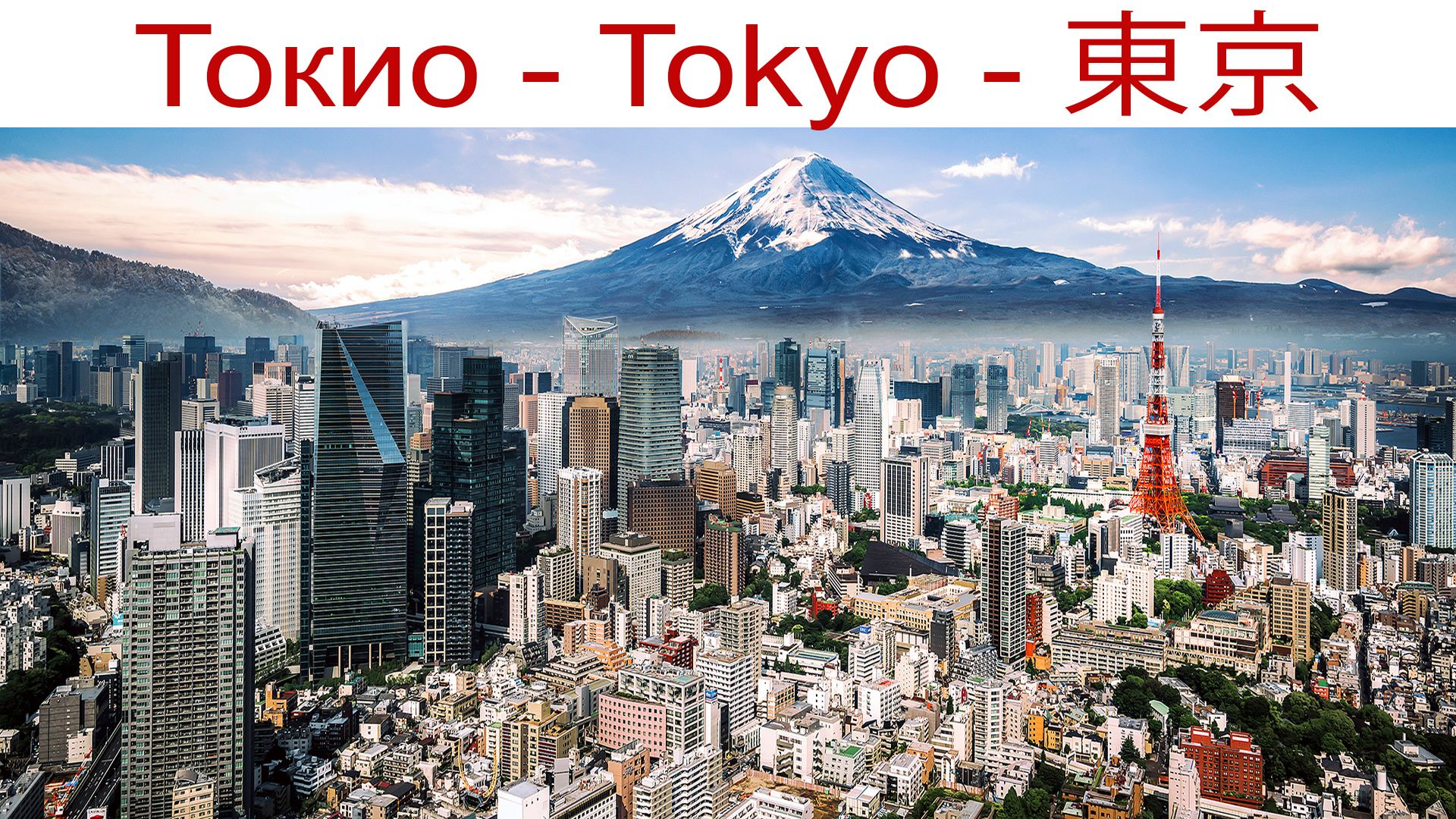 Токио, Япония - Знакомимся со страной и столицей: Мэрия Столицы, Храм Мэйдзи и Аллея Гинкго