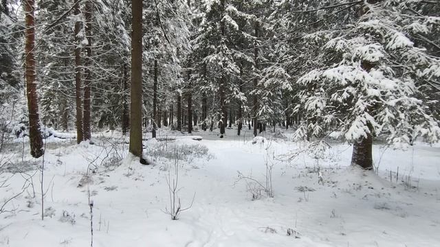 Поздравляю вас с наступающим новым годом!!!