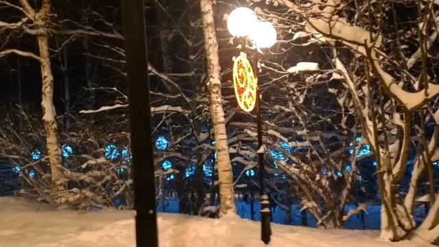 Сыктывкар новогодний.