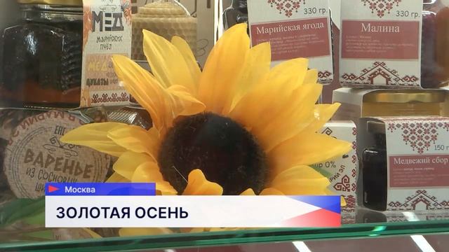 Новости "Волга 24" 13.10.2025 19:00