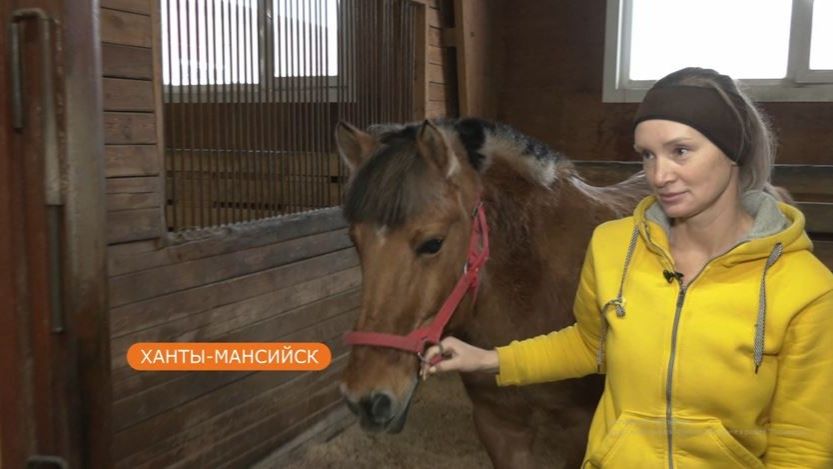 Югорчанам рассказали, как символы наступающего 2026 года будут встречать праздники