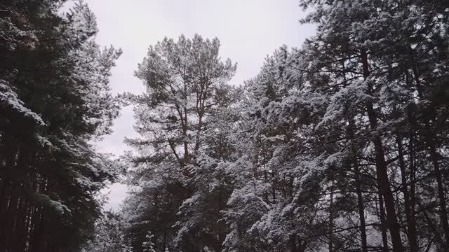 Почему мне все должны? Немного о финансовой грамотности