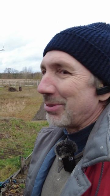 Поздняя осень - пора наслаждения жизнью в деревне.