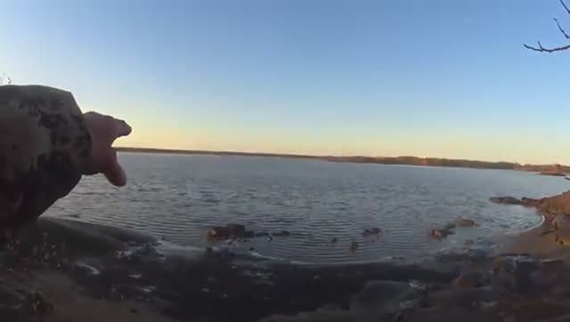 Мне Ваши Камыши Не нужны! Я Черпаю прямо из канавы!