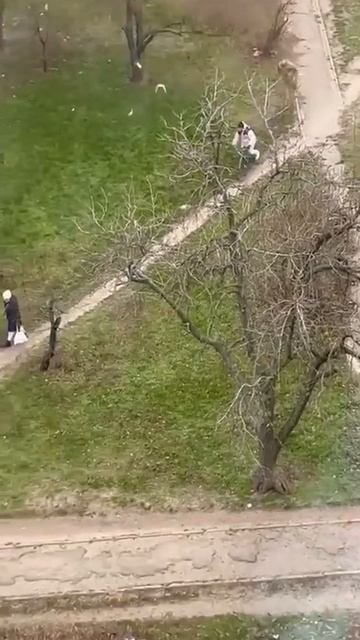 А что, Динамо бежит? Все бегут.