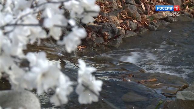 "С Новым годом, друзья!" (на карачаевском языке)