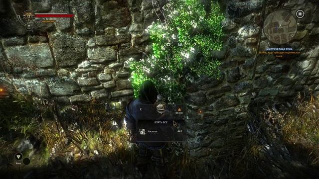 Ведьмак 2 Темная сложность часть 3