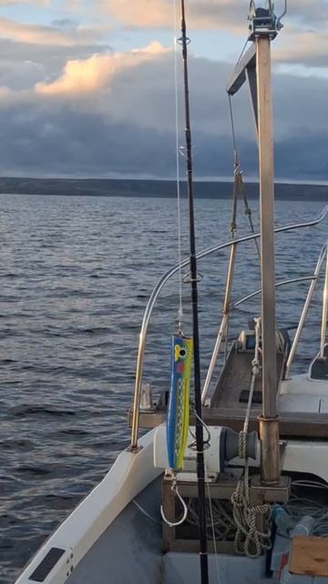 Рыбалка на тунца, Итуруп