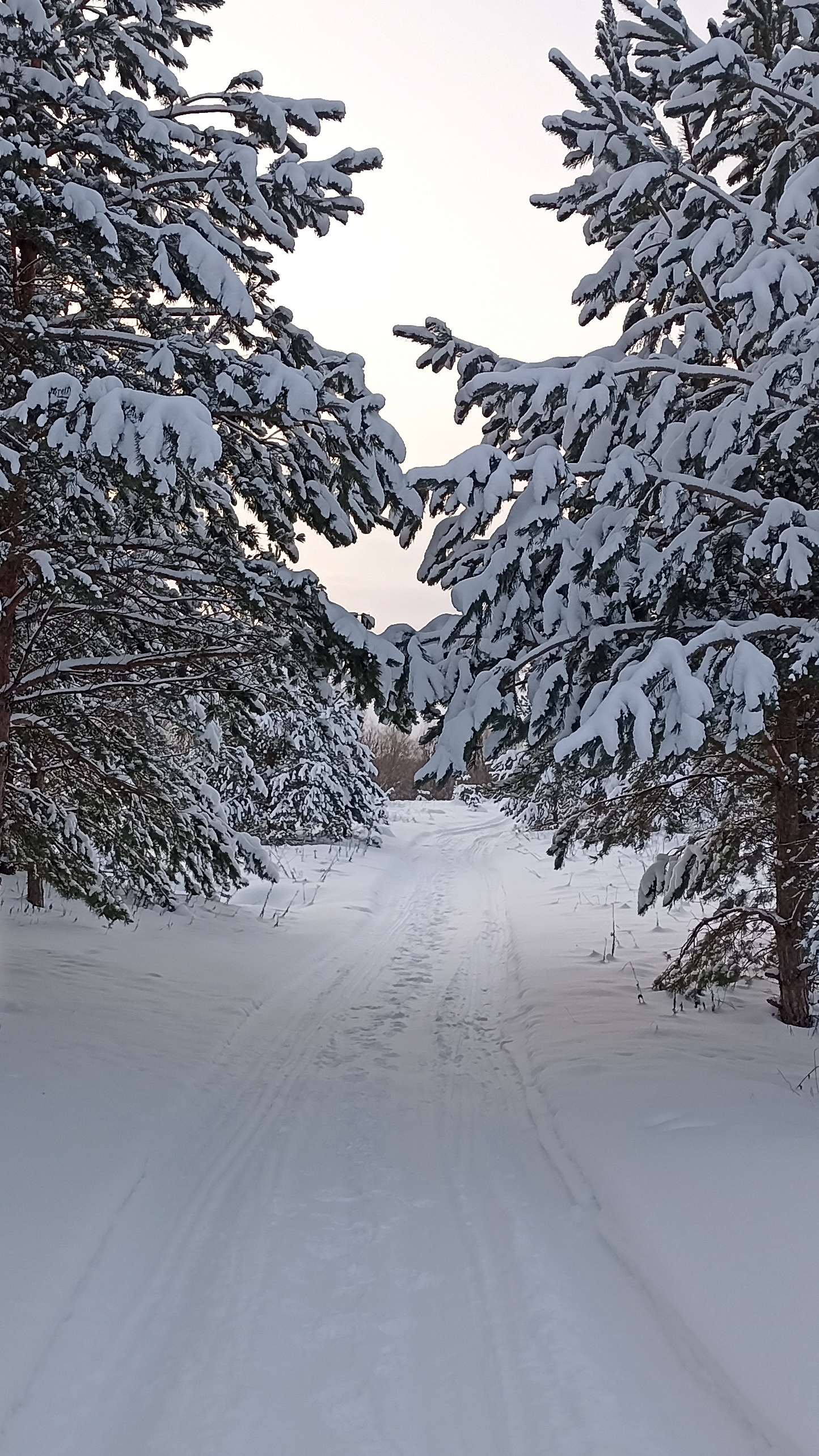 Вятская зима.