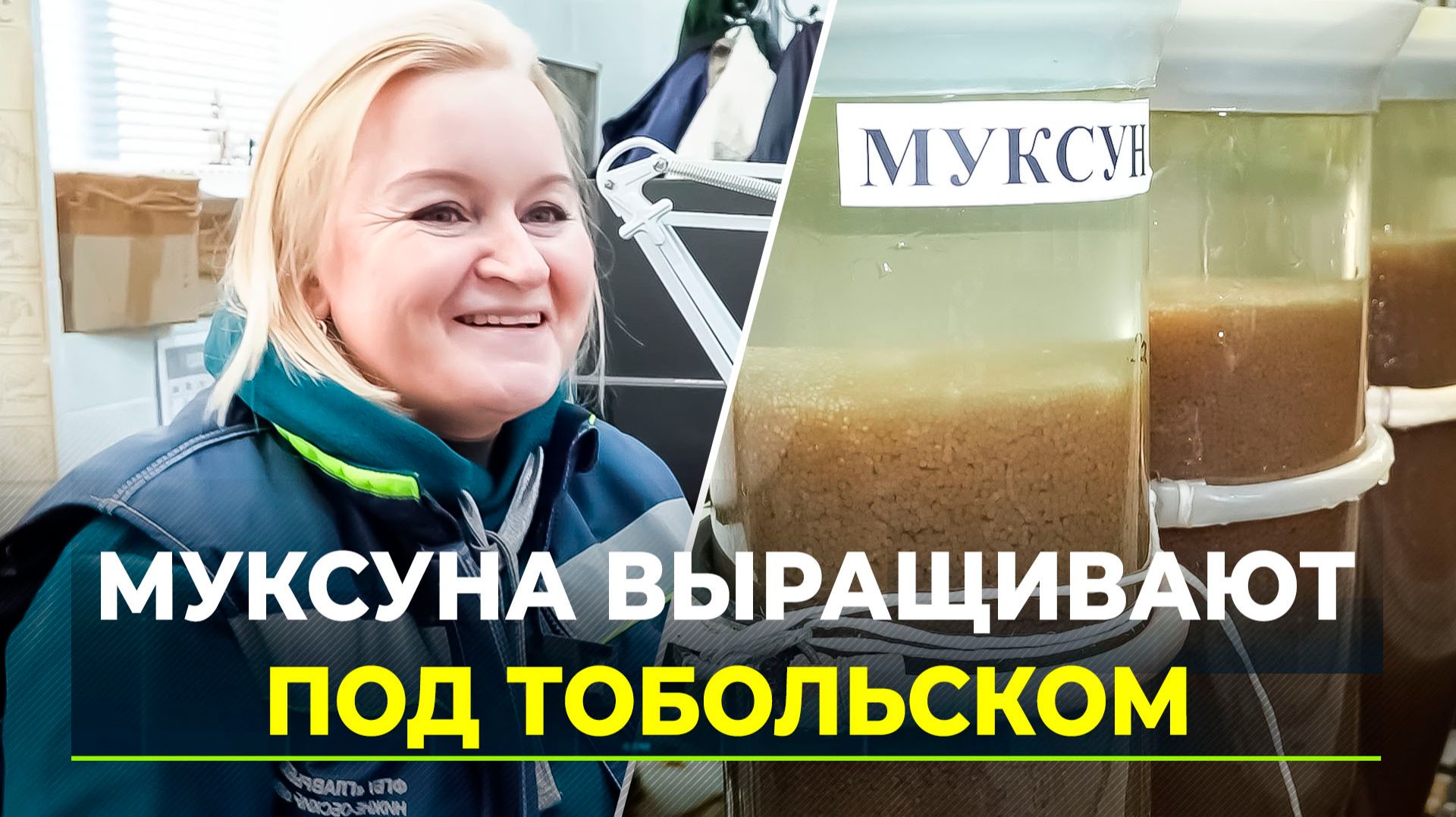 На Абалакском рыборазводном заводе начали инкубировать икру сиговых видов рыб