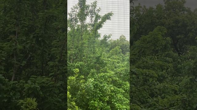 Духовная практика 4 : соединение с высшим Я (эллион)