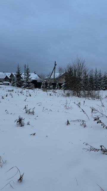 Участок 19.5 сотки в с.Годуново Александровский р-н. Газ, свет, вода рядом. Хоз.постройка.