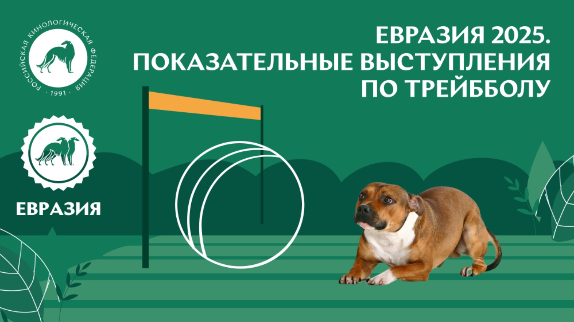 Евразия 2025. Показательные выступления по трейбболу