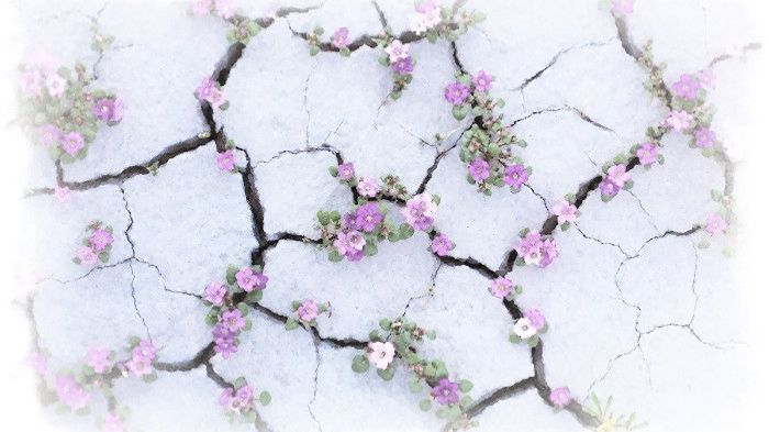 Жизнь Олег Юргаев