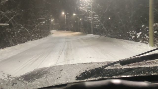 Из леса домой на Ниве): предновогоднее..