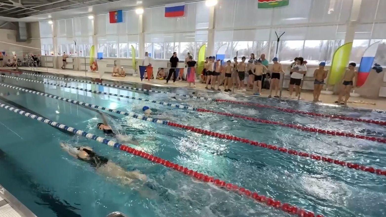 В Котовском бассейне провели открытое первенство по плаванию