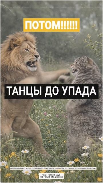 кот медведь жираф бегемот и лев