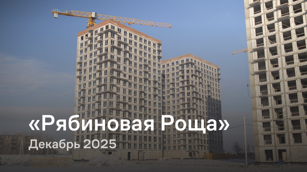 «Рябиновая Роща» / Декабрь 2025