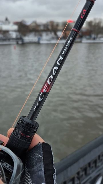 Закрыл сезон парапетов 2025 на Москве-реке. Стрифишинг, УЛ Кастинг. Первое мнение о Purelure Cedan