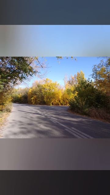 Просто осень