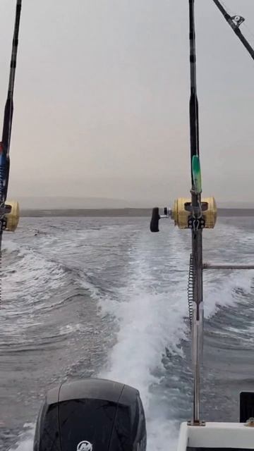 Тунец на Итурупе