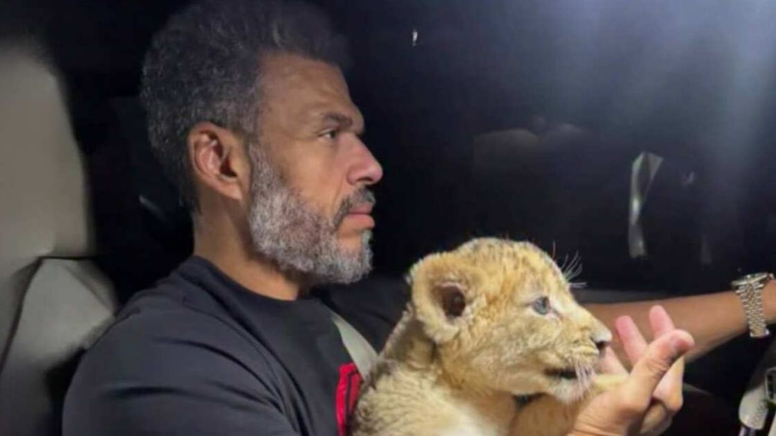 Блогер поселил львенка в красногорском ЖК