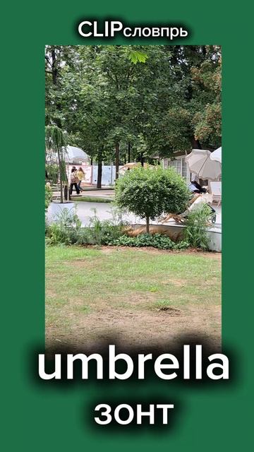 Английские слова на каждый день! | CLIPсловарь