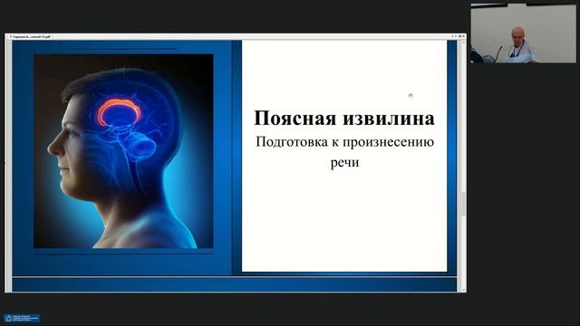Сорокин А.С. Нарушения речи. Задачи клинической патофизиологии по установлению межпредметных связей