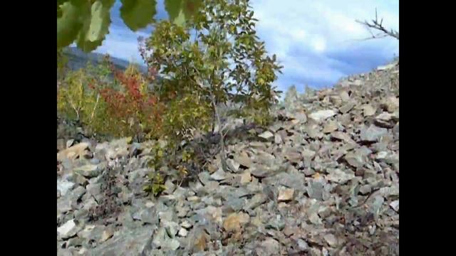 Центральная Хрустальная.